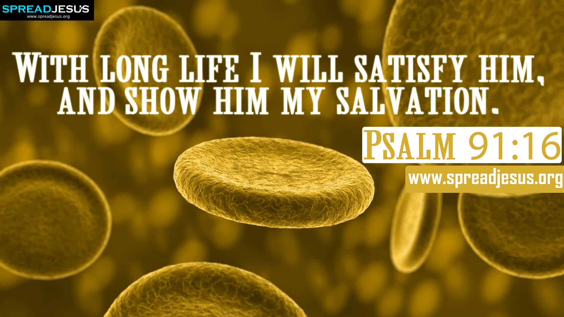 Psalm 91 16 BIBLE QUOTES HD WALLPAPERS FREE DOWNLOAD Psalm 91 16 BIBLE QUOTES HD WALLPAPERS FREE DOWNLOAD
