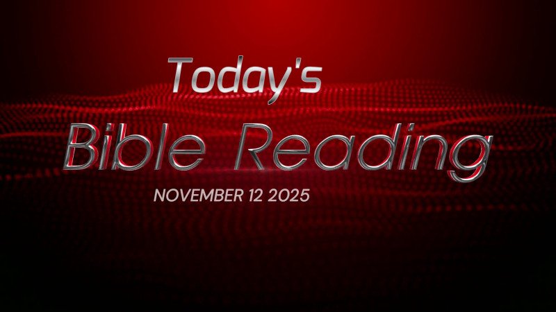 Todays Gospel Reading November-12-2025 - Daily Bible Readings | Today ...